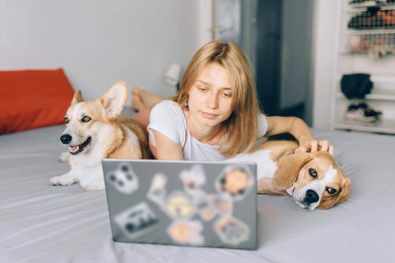 The Ultimate Guide to Living with Indoor Pets - chantcourse